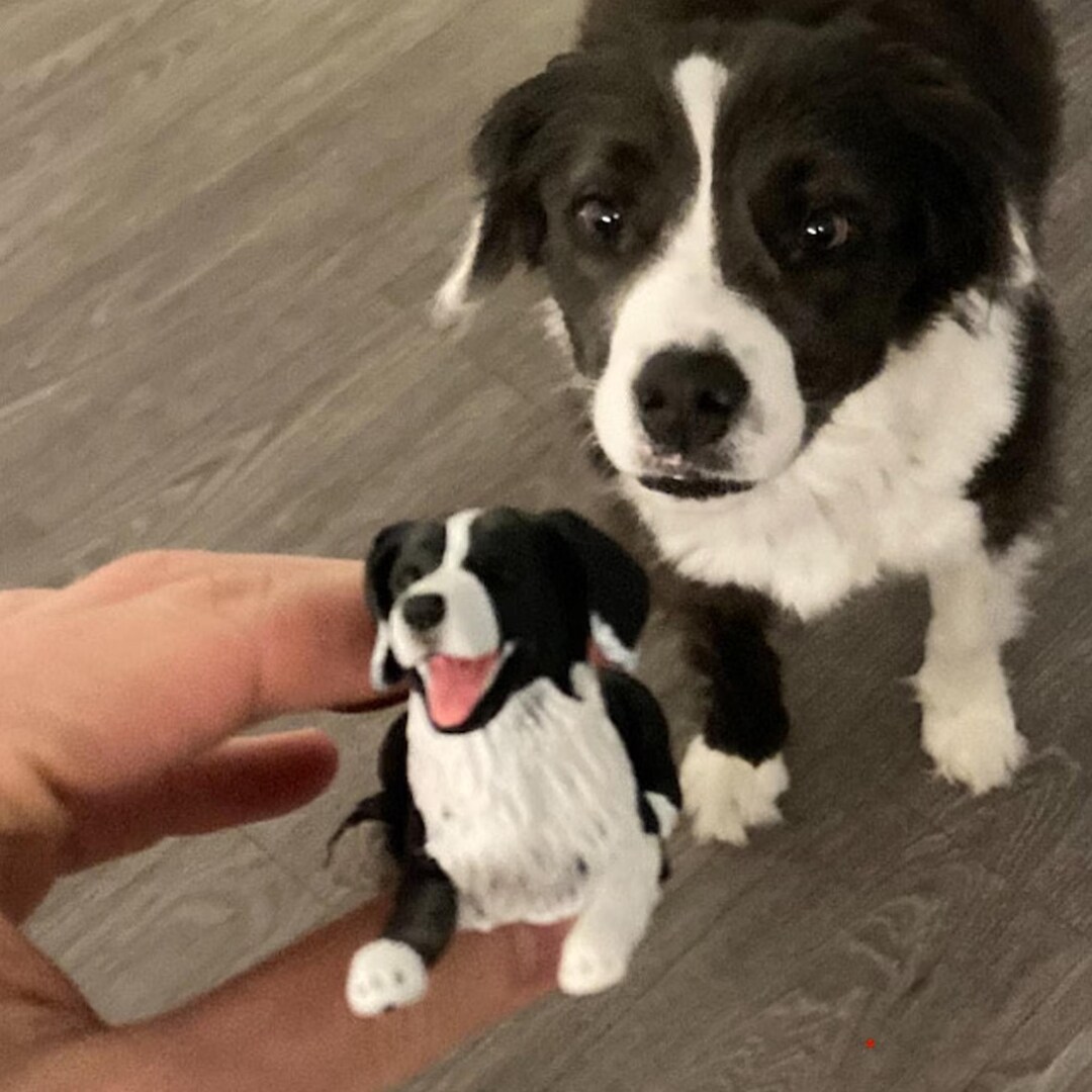 Dog Wedding Cake Topper, Border Collie Birthday Cake Decoration, Pet ...