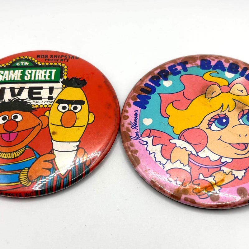 Sesame Street Pins - Etsy
