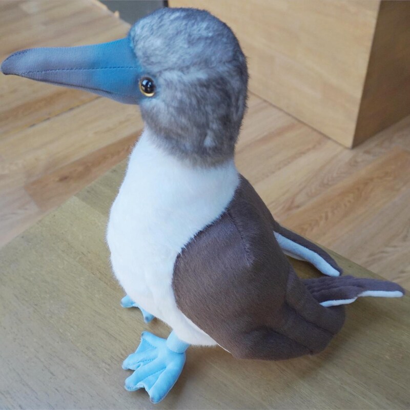 Blue Footed Booby - Etsy