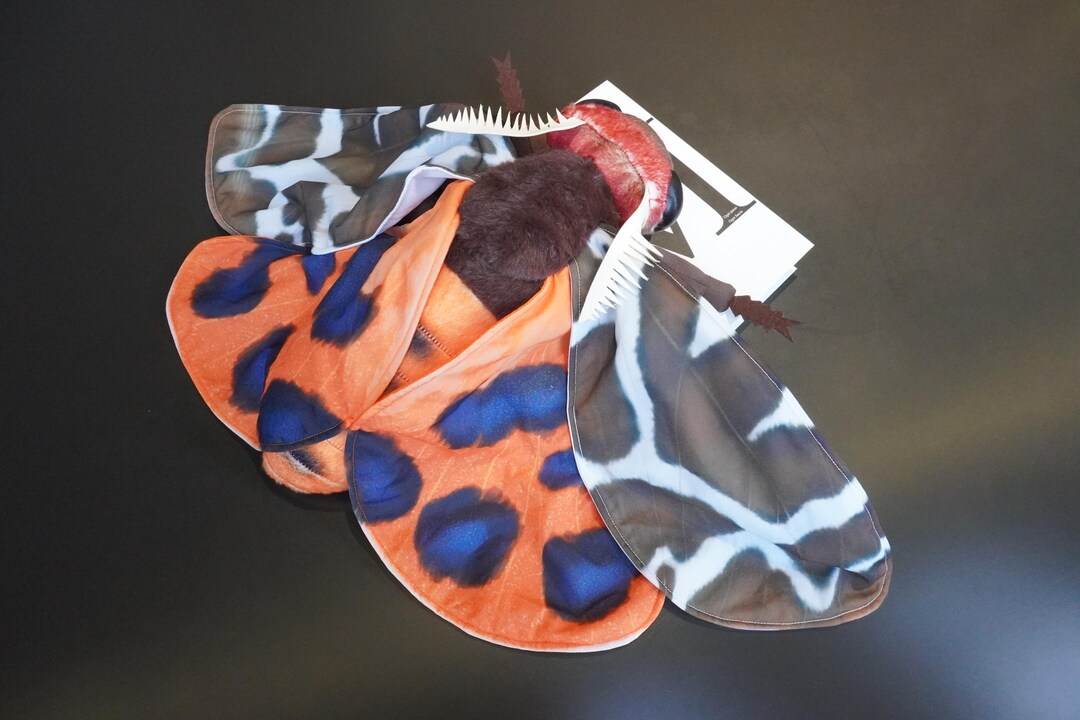 Realistic Garden Tiger Moth Plush Toy, Moth Collection Gift for Her ...