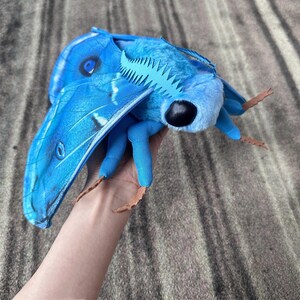 Moth Plush, Moth Stuffed Animal Doll, Soft Realistic Toys for Her,him ...