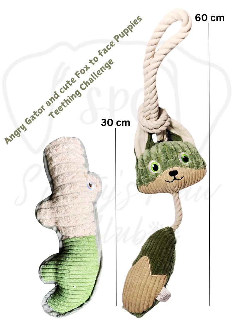 Tug & Snuggle Buddies: Double Trouble Cute Fox Rope Toy and Angry Gator ...