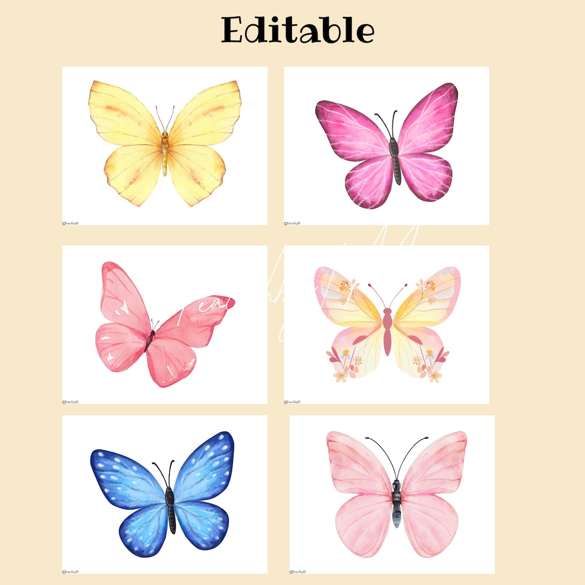 Fluttering Into Spring Bulletin Board Kit Classroom Decor L Bloom Hop ...