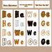 Halloween Bulletin Board Kit: School Classroom Decor - Etsy