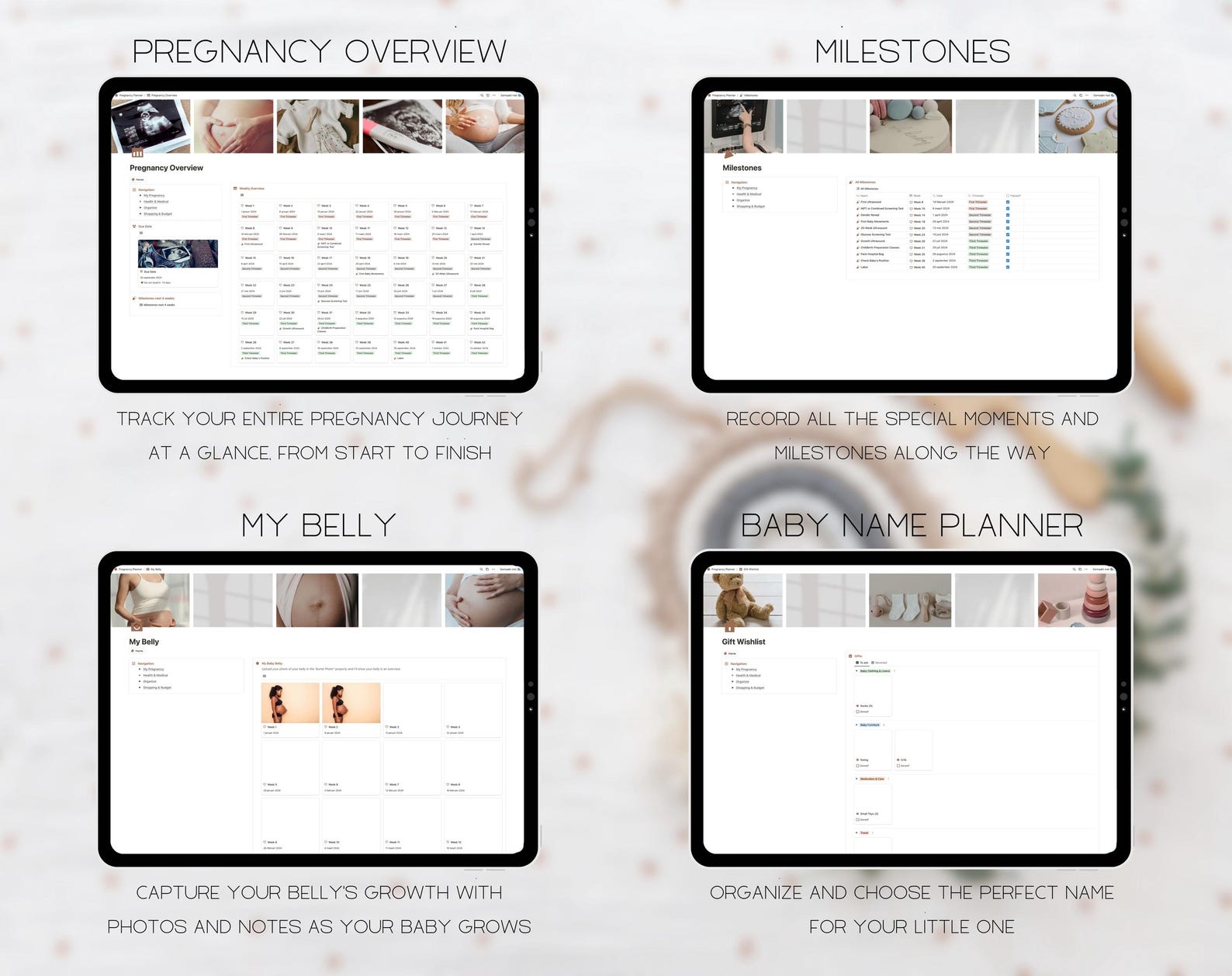 Notion Pregnancy Planner, Digital Birth Plan Template, Pregnancy Diary ...