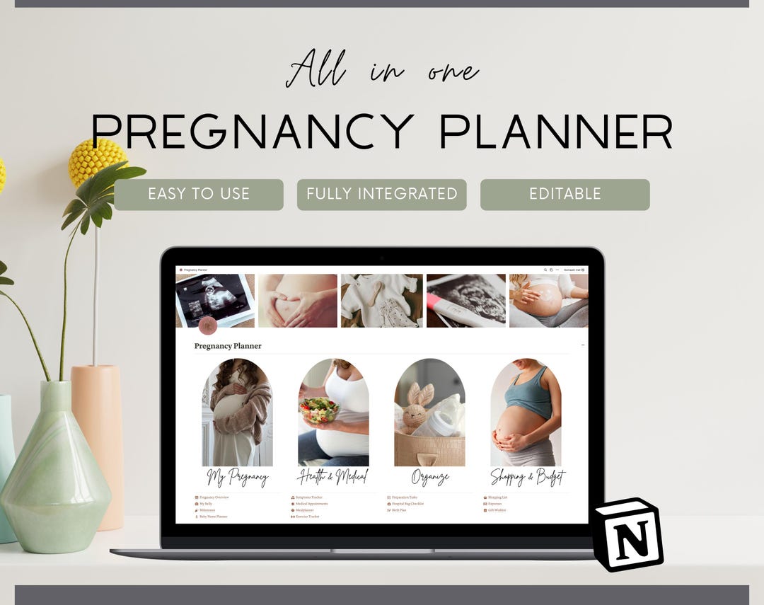 Notion Pregnancy Journal, Birth Plan Template, Digital Pregnancy Diary ...