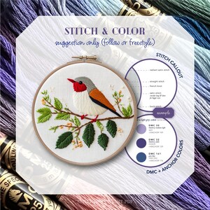 Robin Embroidery Design * American Robin Gift * Hand Embroidery Bird ...