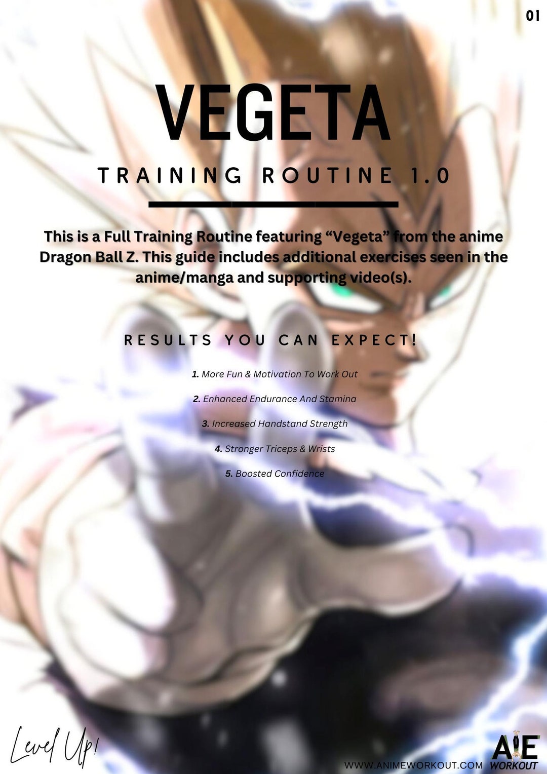 Vegeta Training Routine 1.0 (anime Workout) - Etsy