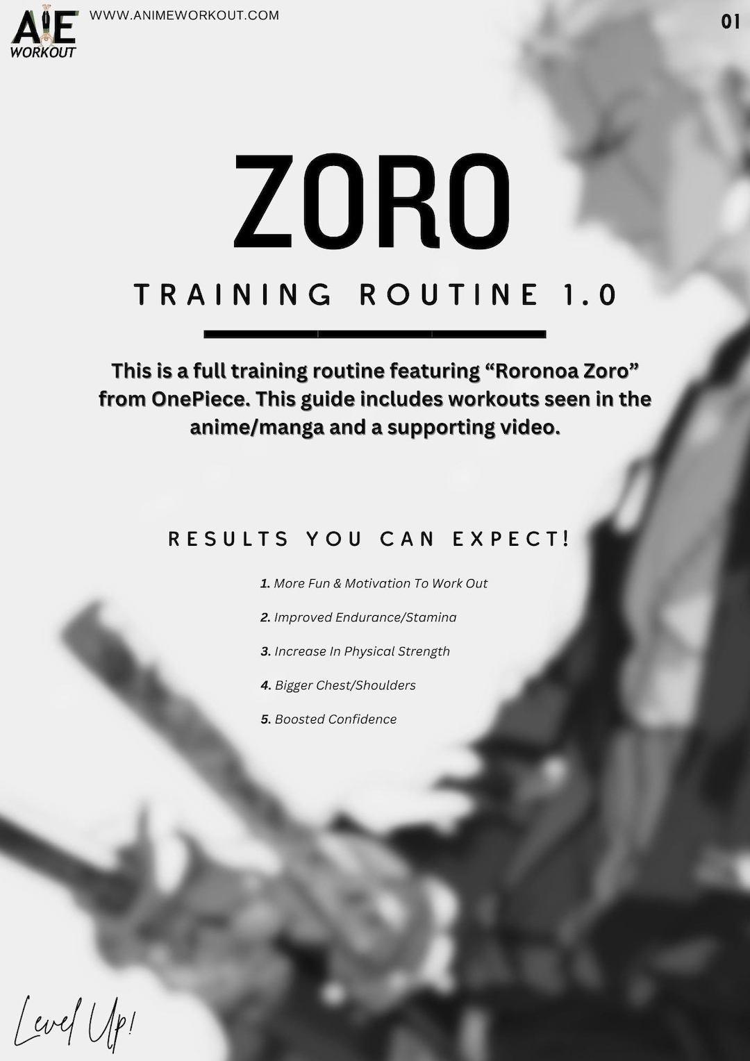 Zoro Training Routine 1.0 (anime Workout) - Etsy