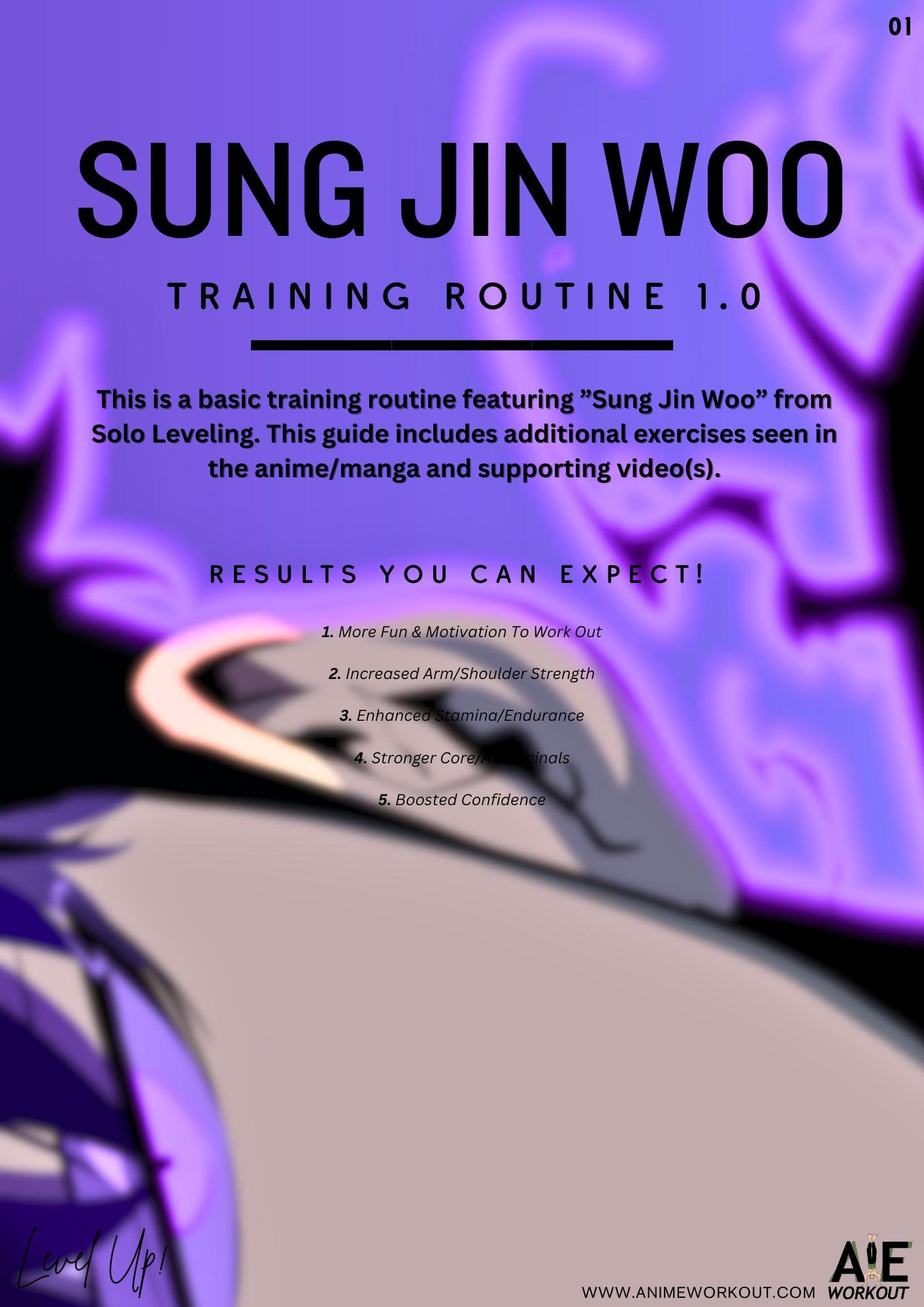 Sung Jin Woo Training Routine 1.0 (anime Workout) - Etsy