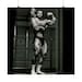 Cbum Chris Bumstead Posing Matte Vertical Poster for Dorm, Workout, Gym ...