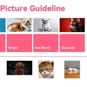 Custom Pet Art Design, Digital PNG Pet Art, Custom Christmas Pet ...