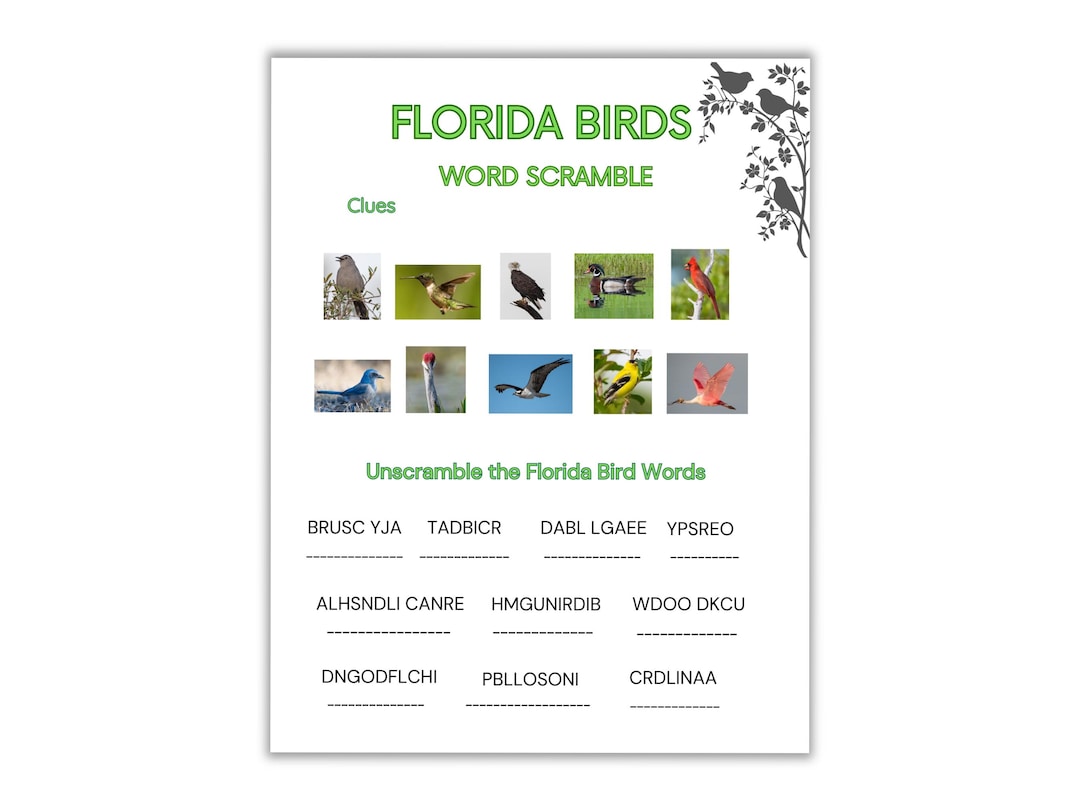 Florida Birds Word Scramble Game Printable Worksheet, Kids, Adults, and ...
