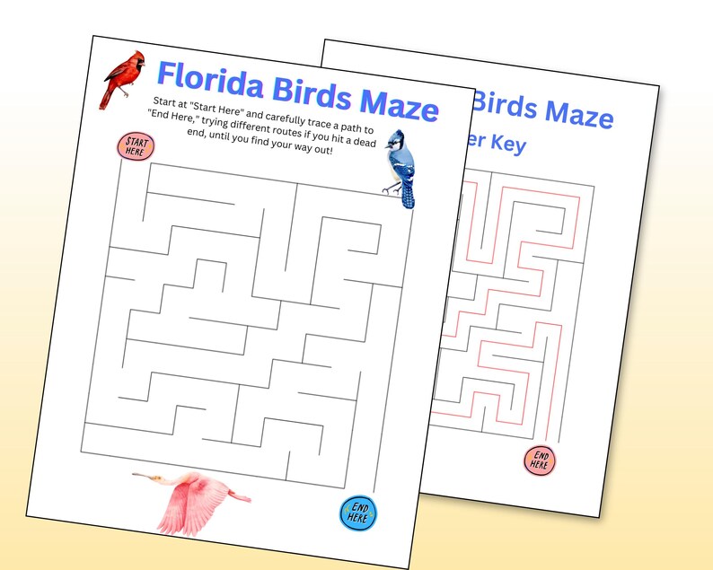 Florida Birds Maze Printable Worksheet Game for Kids, Adults, and ...