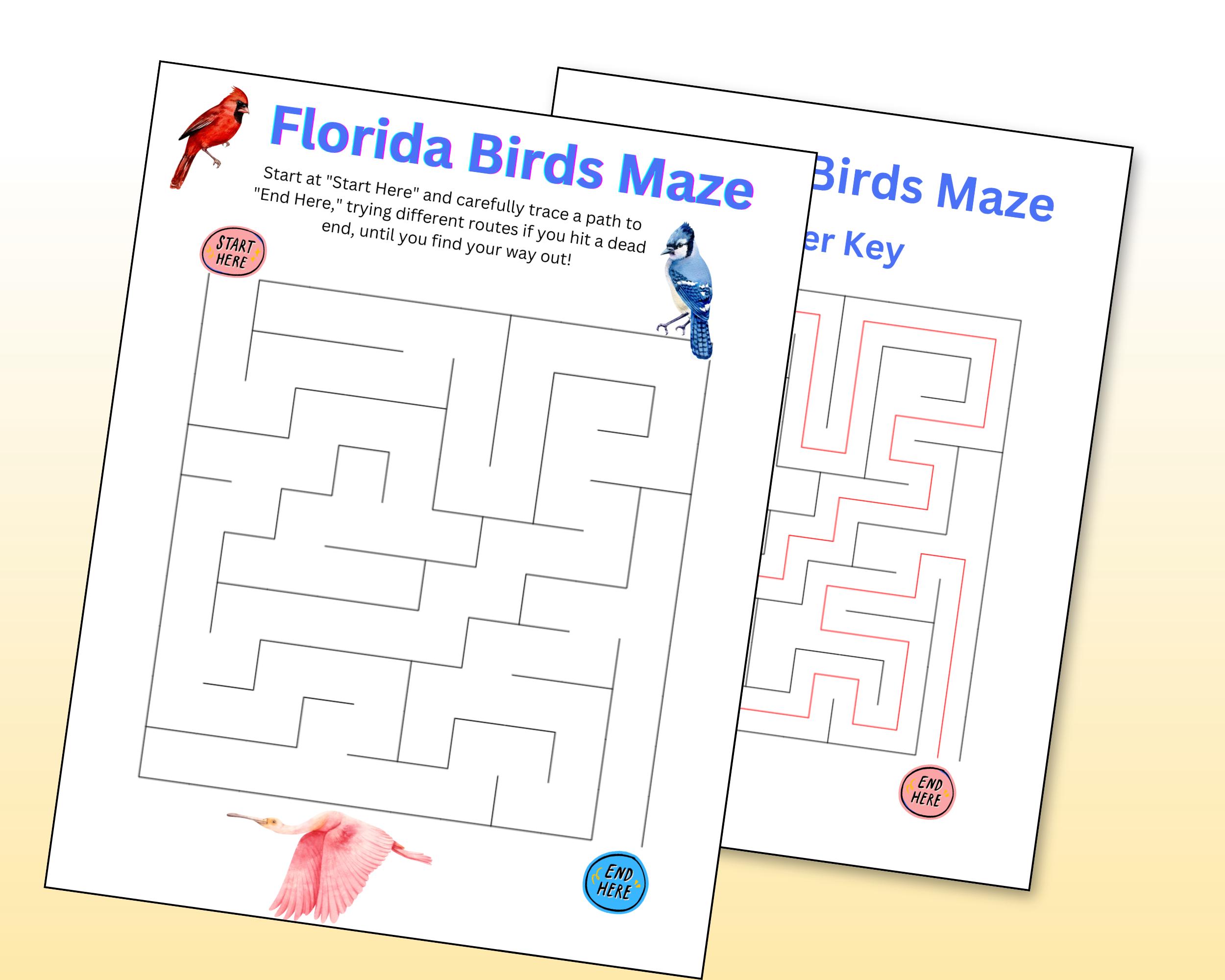 Florida Birds Maze Printable Worksheet Game for Kids, Adults, and ...