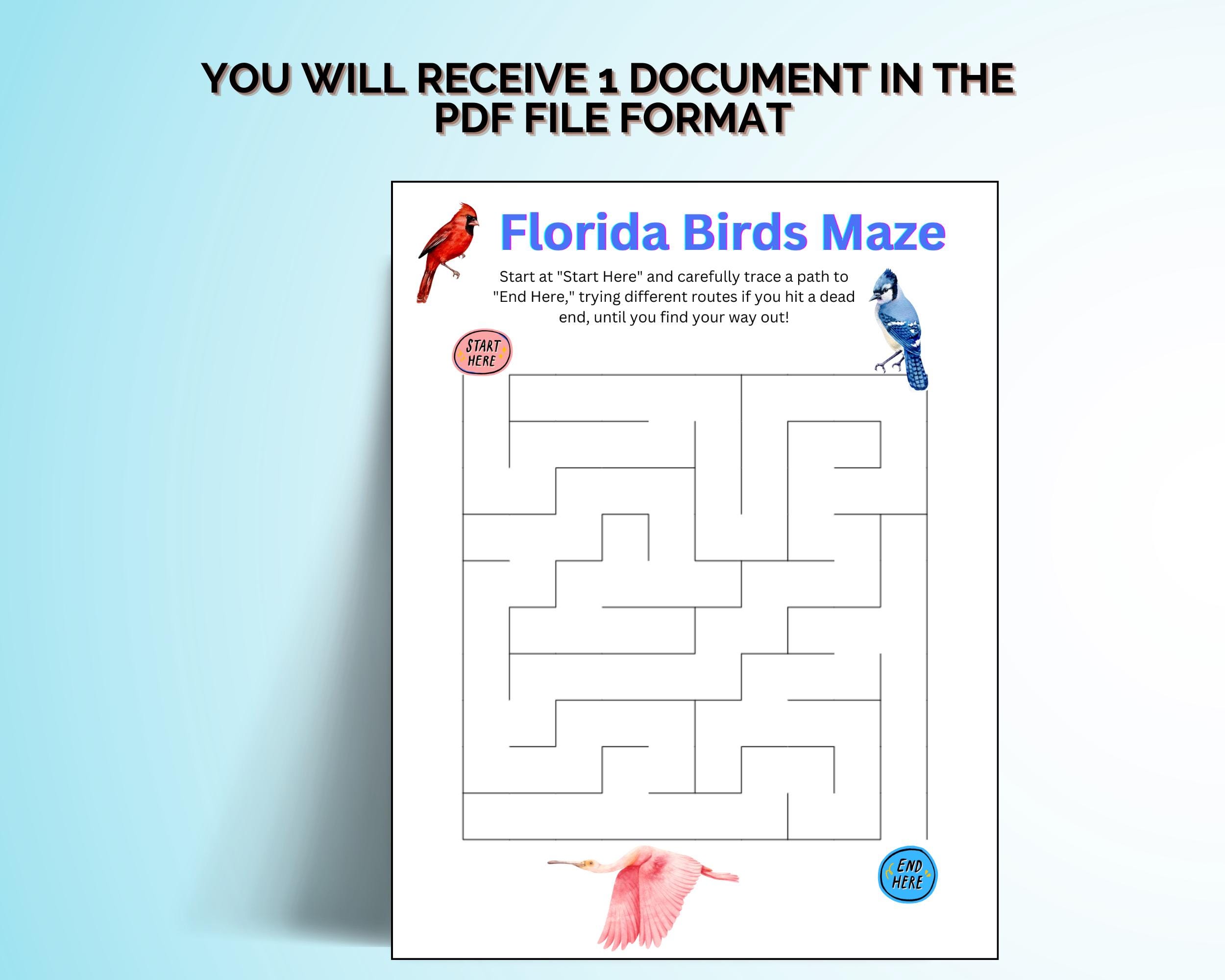 Florida Birds Maze Printable Worksheet Game for Kids, Adults, and ...
