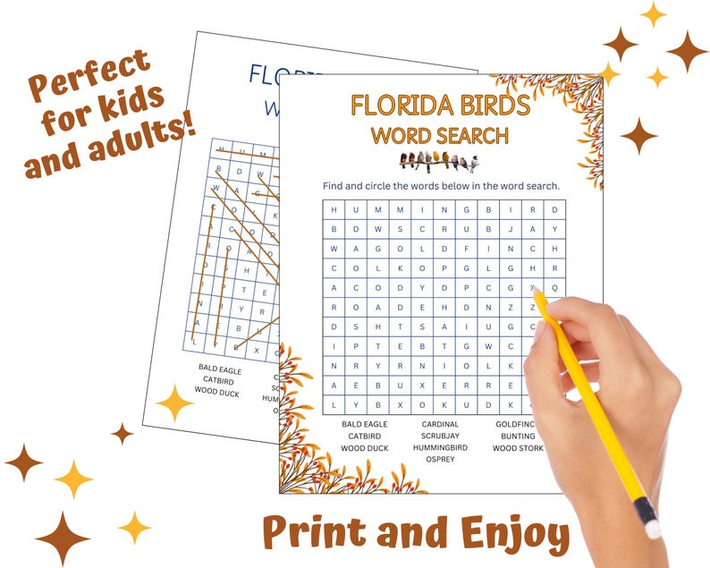 Florida Birds Word Search Game, Printable Worksheet Word Search Puzzle ...