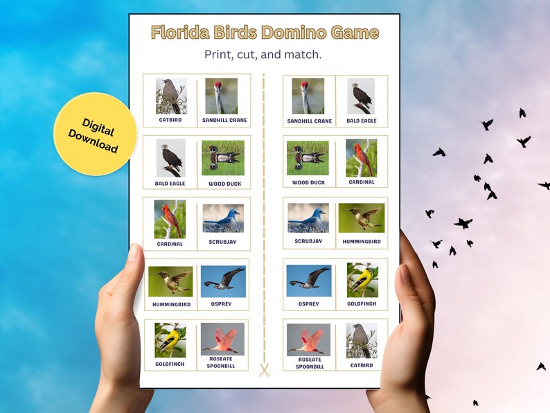Florida Birds Domino Game, Printable Worksheet Game for Kids, Adults ...
