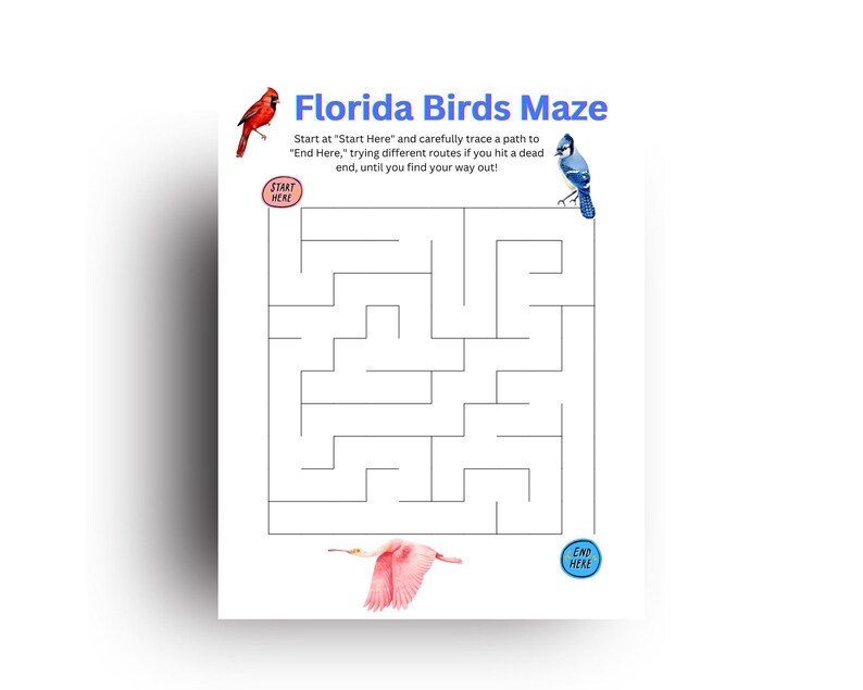 Florida Birds Maze Printable Worksheet Game for Kids, Adults, and ...