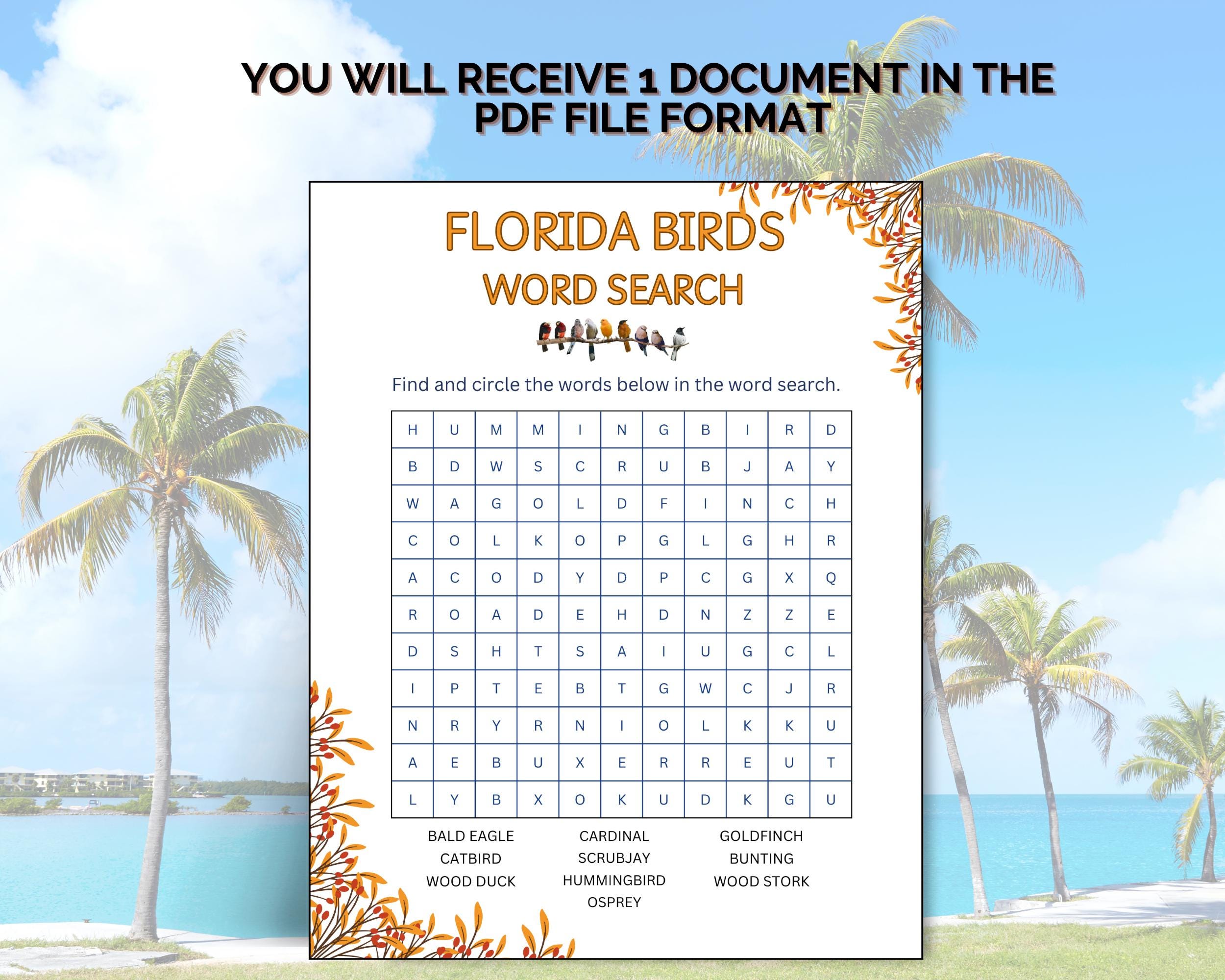 Florida Birds Word Search Game, Printable Worksheet Word Search Puzzle ...