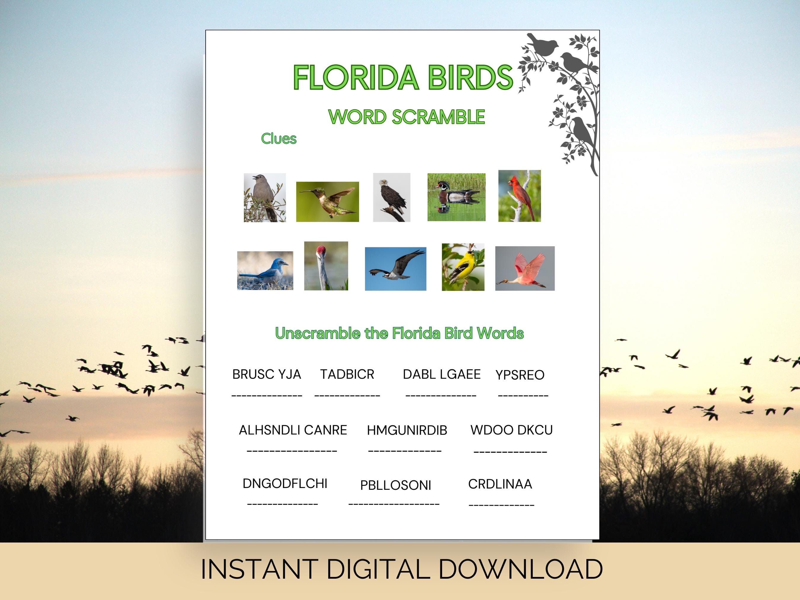 Florida Birds Word Scramble Game Printable Worksheet, Kids, Adults, and ...