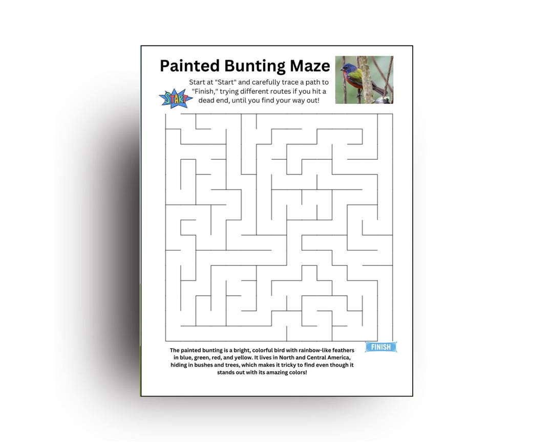 Painted Bunting Maze Printable Worksheet for Kids and Adults - Etsy
