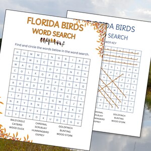 Florida Birds Word Search Game, Printable Worksheet Word Search Puzzle ...
