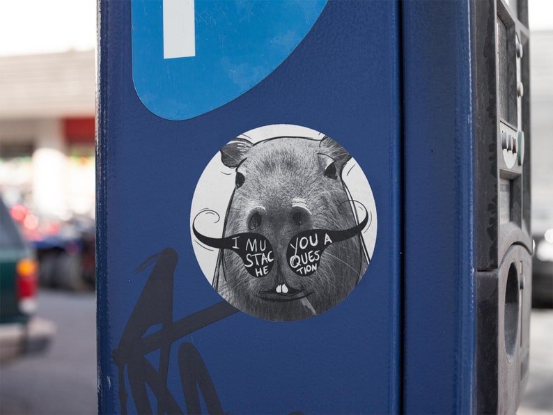 Capybara 3" Round Vinyl Sticker Gift for Capy Lovers, Capy Bara Sticker ...