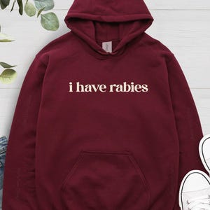 I Have Rabies Funny Hoodie, Unhinged Meme Sweatshirt, Grunge Meme ...