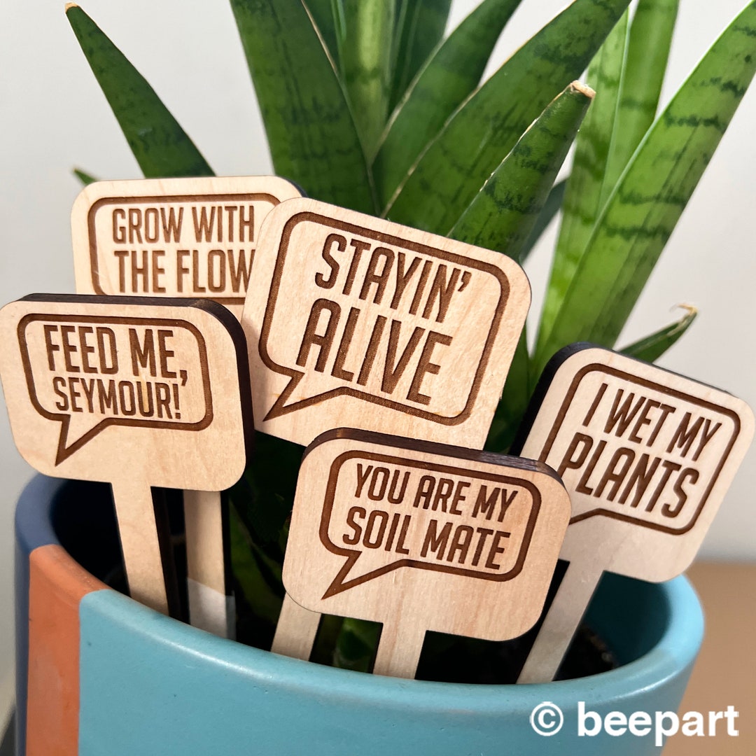 Wood Plant Stakes, Funny Plant Quotes, Cheeky Wooden Plant Markers ...
