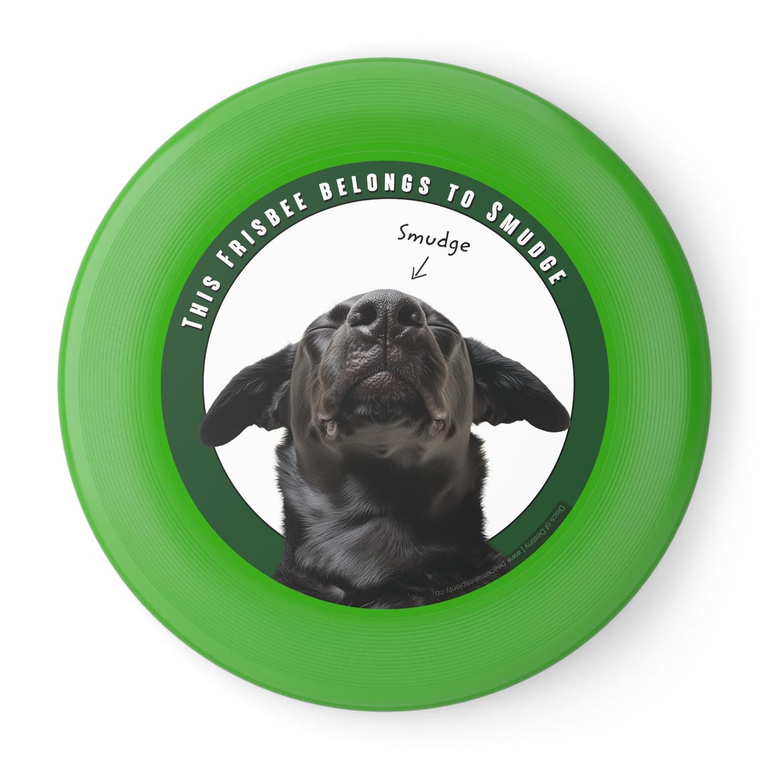 Personalized Pet Phot and Name Frisbee, Custom Dog Toy, Pet Lover Gift ...