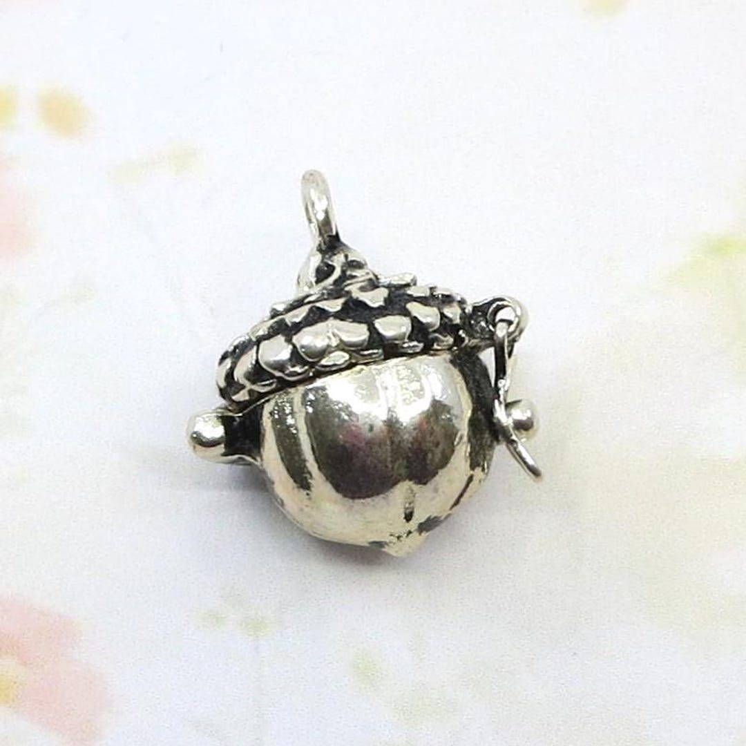 Brass Acorn Locket, Antiqued Silver Acorn Locket, Prayer Box Locket, 1 ...