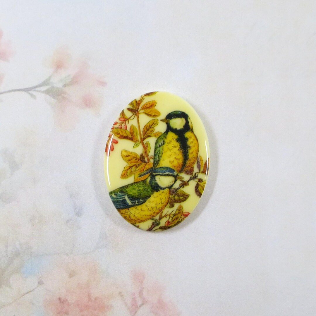 Vintage West German Bird Cabochon, Lucite Bird Cab, 40x30mm, 1 Piece - Etsy