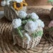 Plant Crochet Pattern, Car Hanging Plant Crochet Pattern, Crochet ...