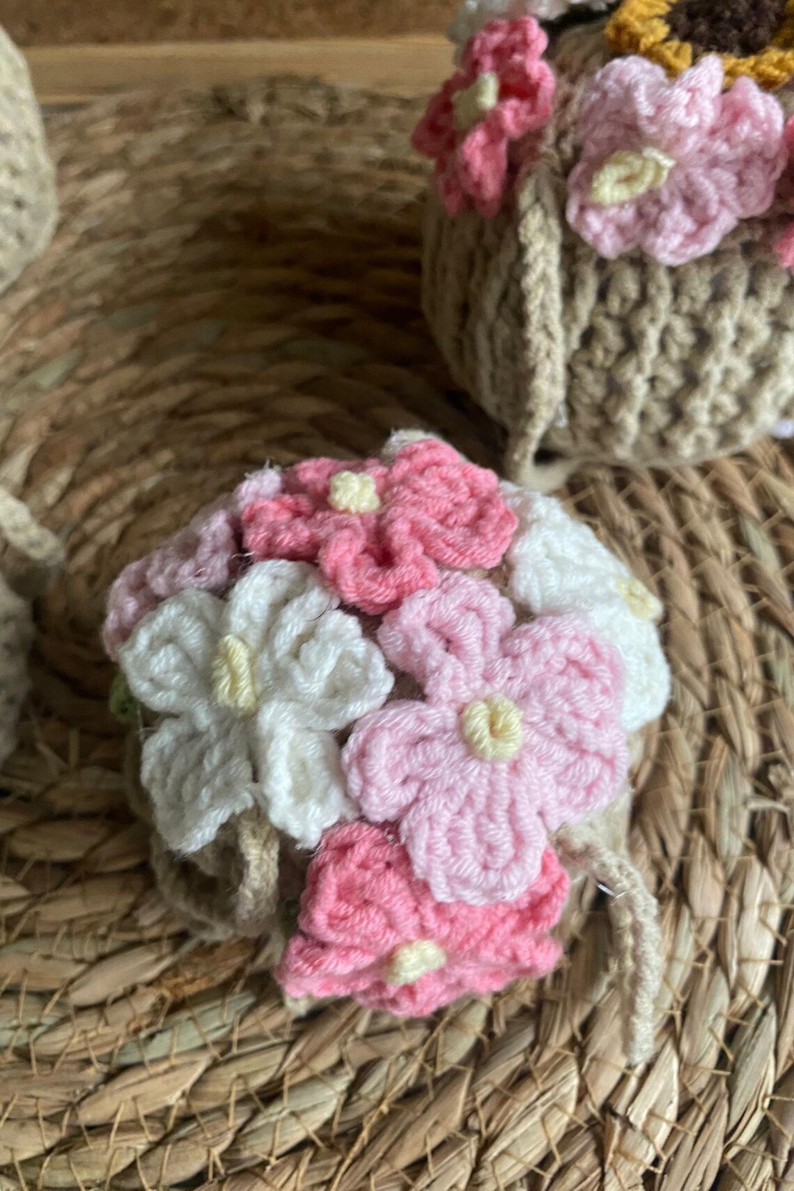 Plant Crochet Pattern, Car Hanging Plant Crochet Pattern, Crochet ...