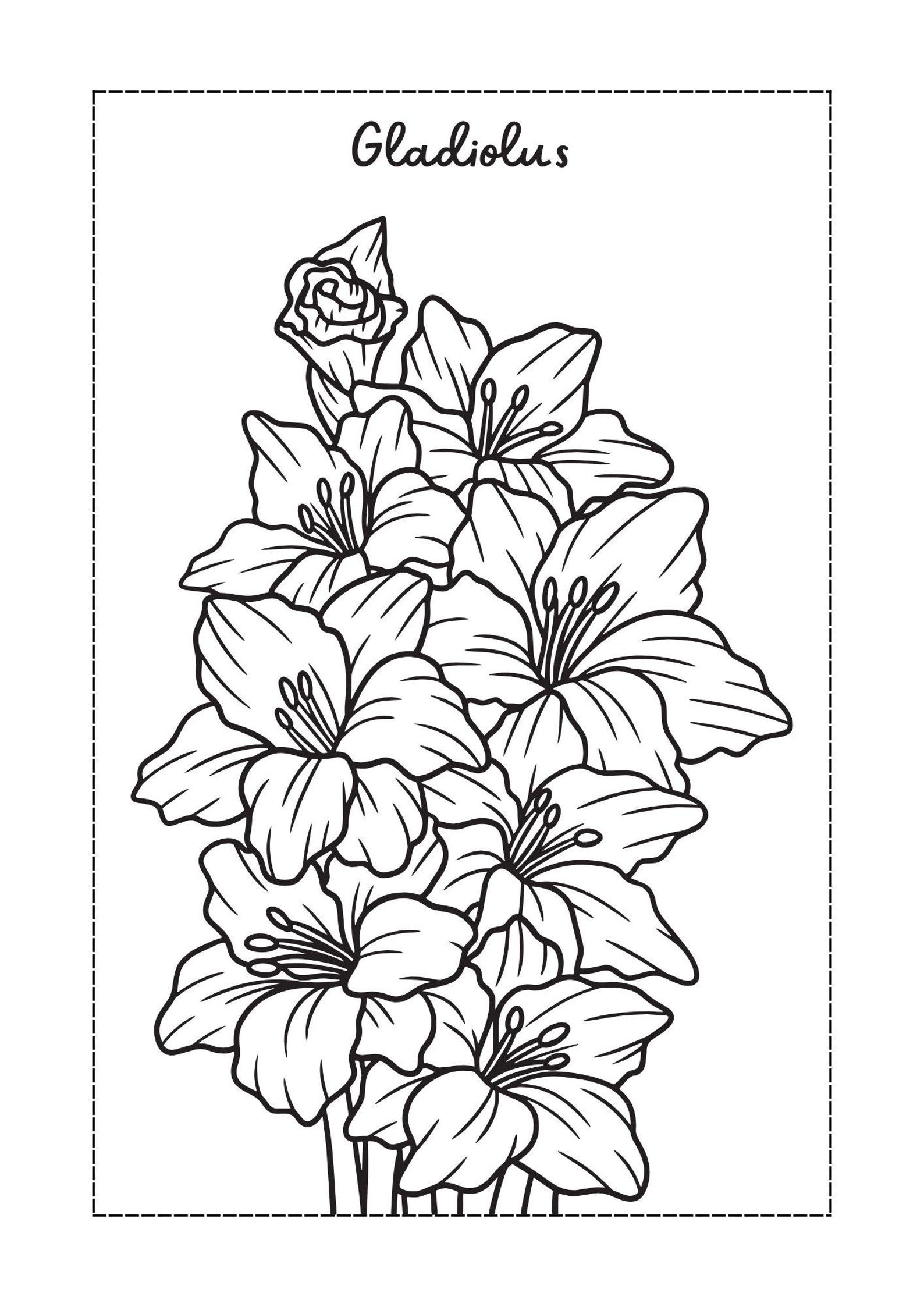 46 Simple Flowers Coloring Book for Adults and Kids - Etsy