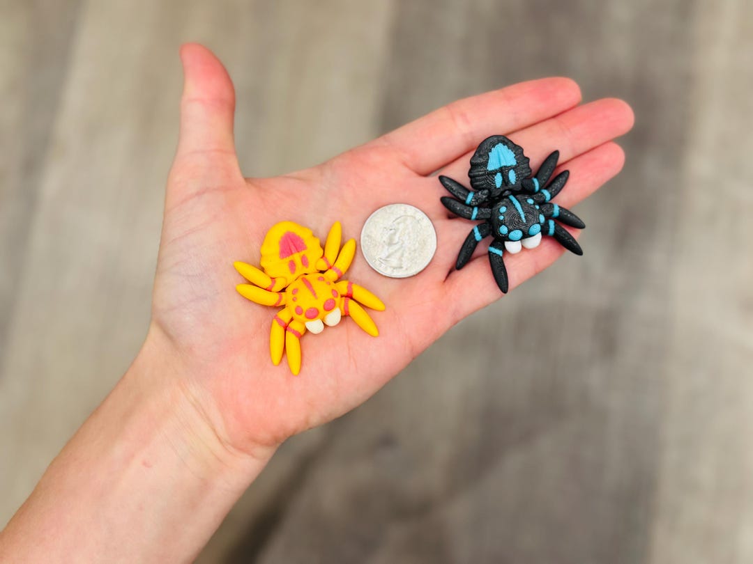 3d Printed Patterned Spider - Jumping Spider - Halloween - Candy ...