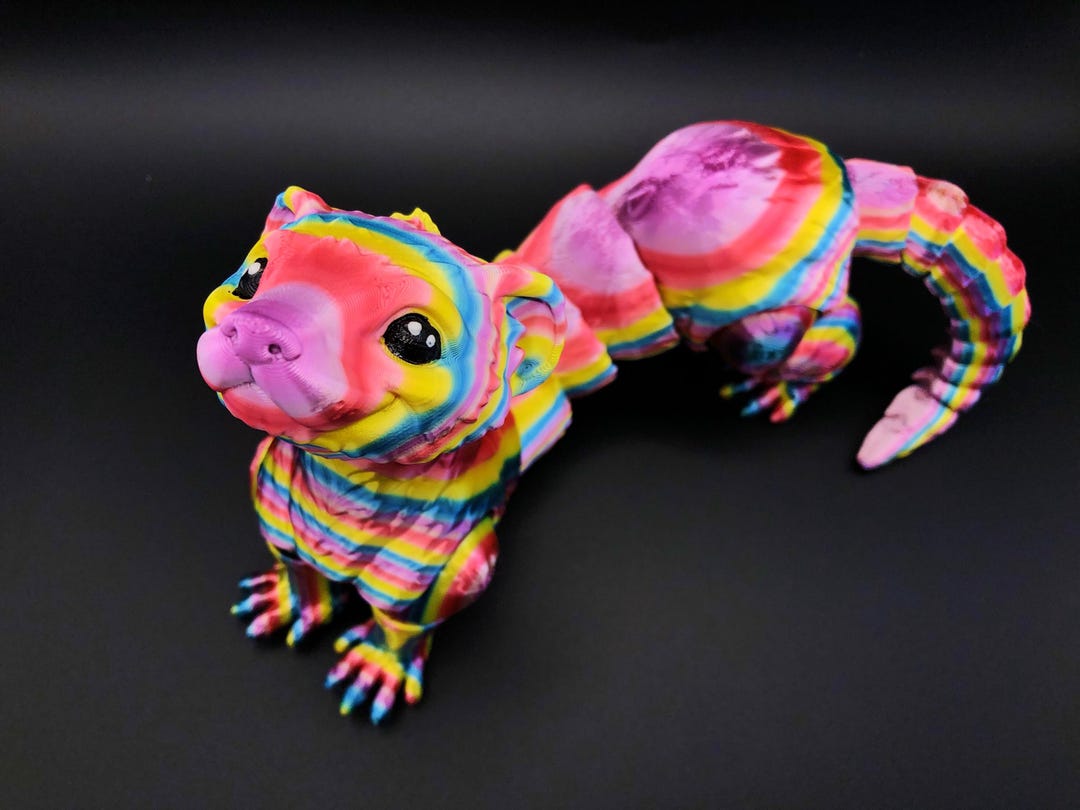 Articulated 3d Printed Rainbow Ferret - Fidget Toy - Desk Toy - Ferret ...