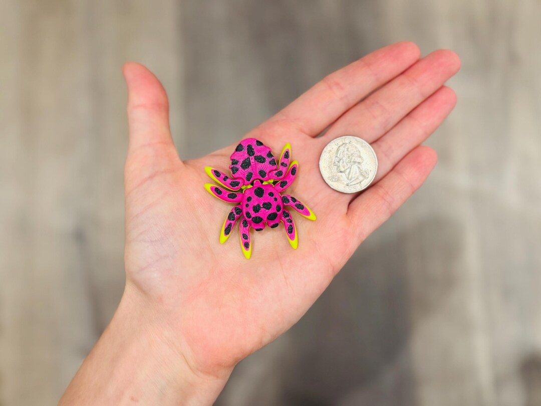 3d Printed Watermelon Spider - Jumping Spider - Halloween - Candy ...