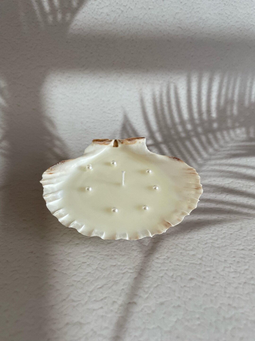 Pearly Coraline Scallop Shell Candle Candles Minimalist Soy Wax Candle ...