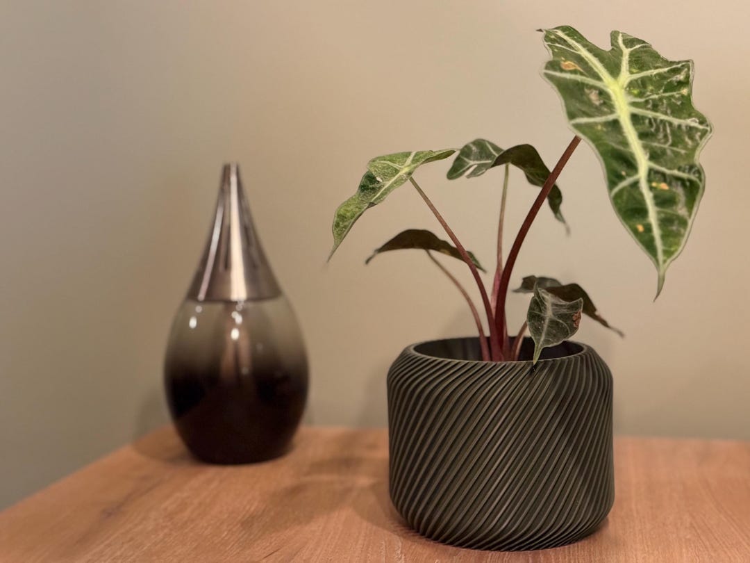 Modern Straight Body Diagonal Lines Planter Plant Pot Vase | Perfect ...