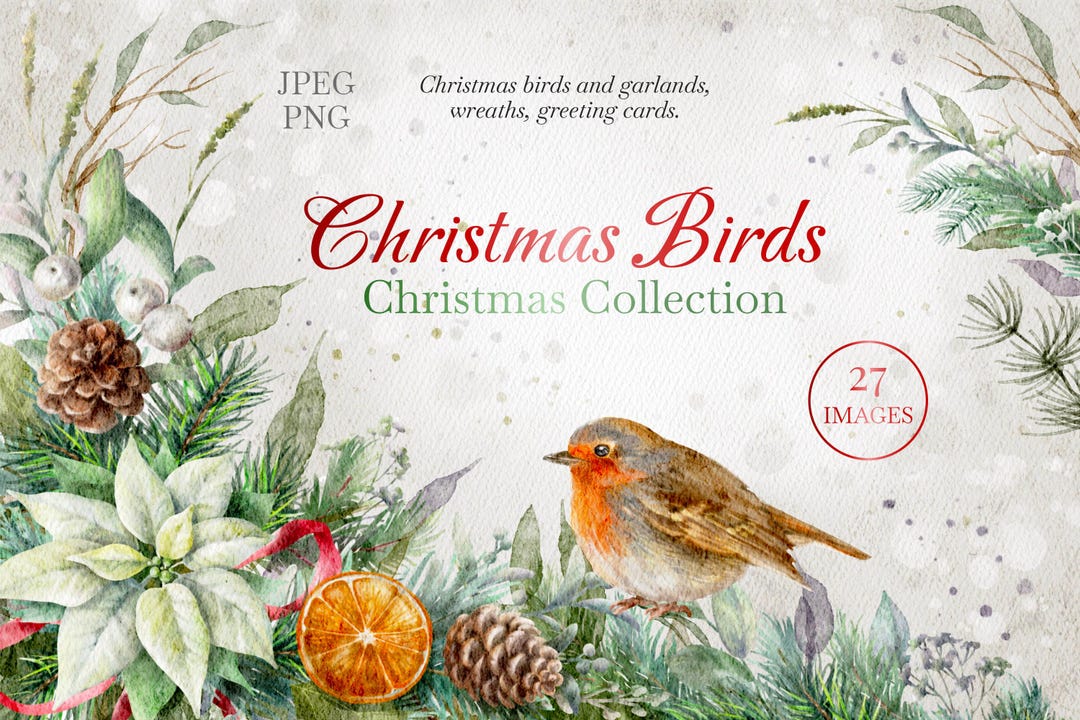 Robin Birds Clipart. Christmas Digital Watercolor Collection With ...
