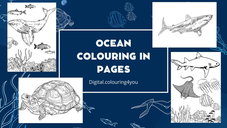 10 Sea Animals Coloring Pages for Kids,animal Coloring Pages,ocean ...