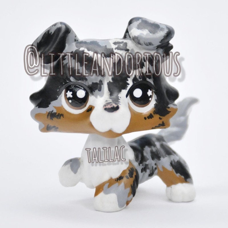 Lps Custom - Etsy