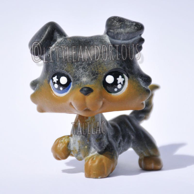 Lps Customs - Etsy