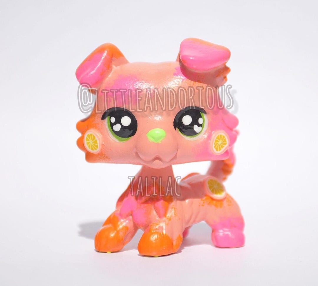 Hand-painted LPS Collie Custom: Orange, Pink, & Green - OOAK Figurine ...