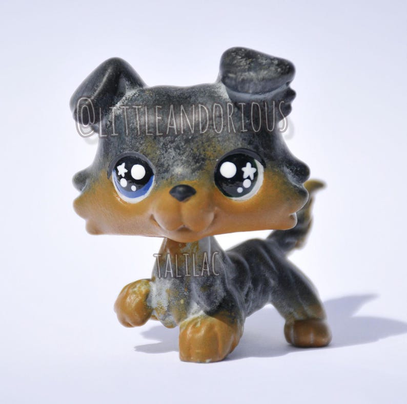 LPS Paw-up Collie Realistic Custom | Littlest Pet Shop OOAK - Etsy