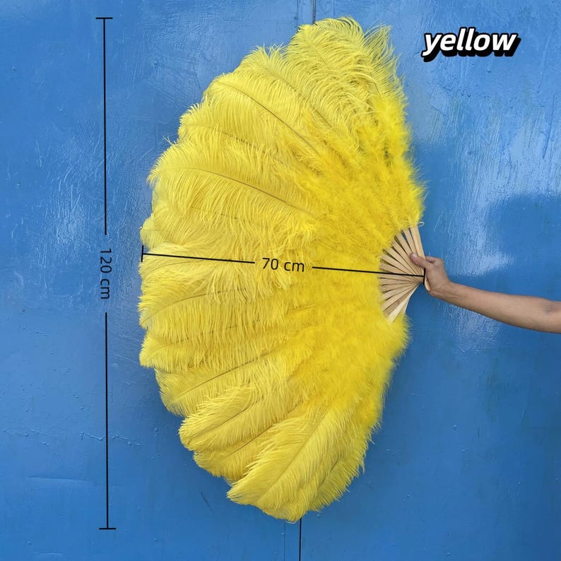 Large Ostrich Feather Fan - Professional Stage Prop,showgirl Fan, Dance ...