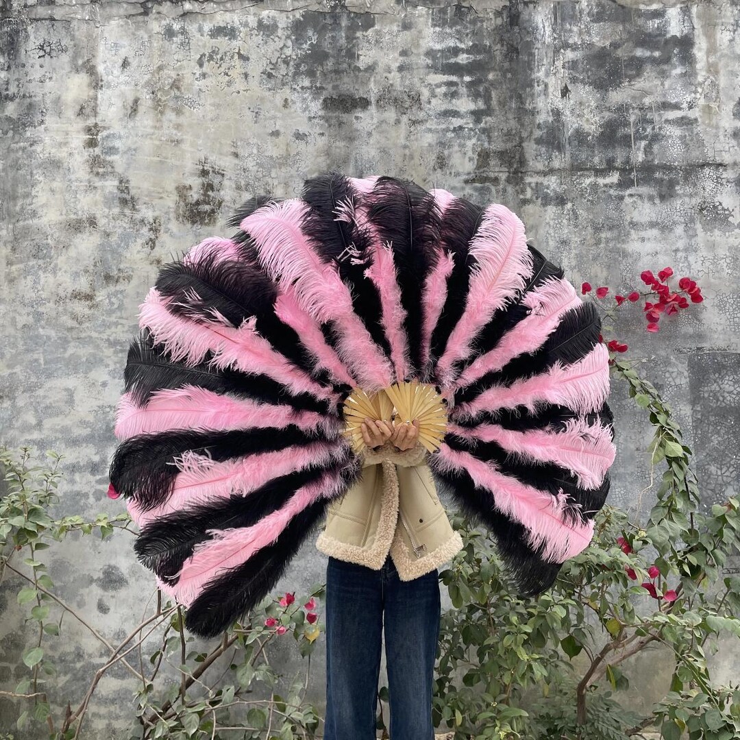 Custom Ostrich Feather Fan 2 Tone Alternating Color 135cm Large ...