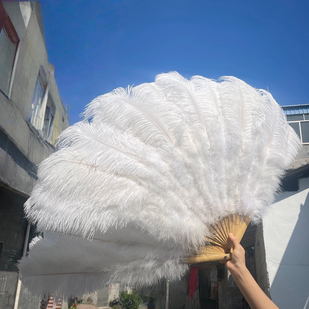 Large Ostrich Feather Fan: Showgirl Stage Prop, Customizable Colors - Etsy